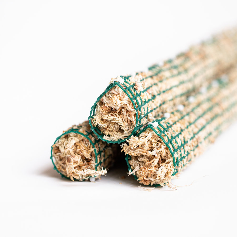 Tutores de Musgo « Mi Mercadito